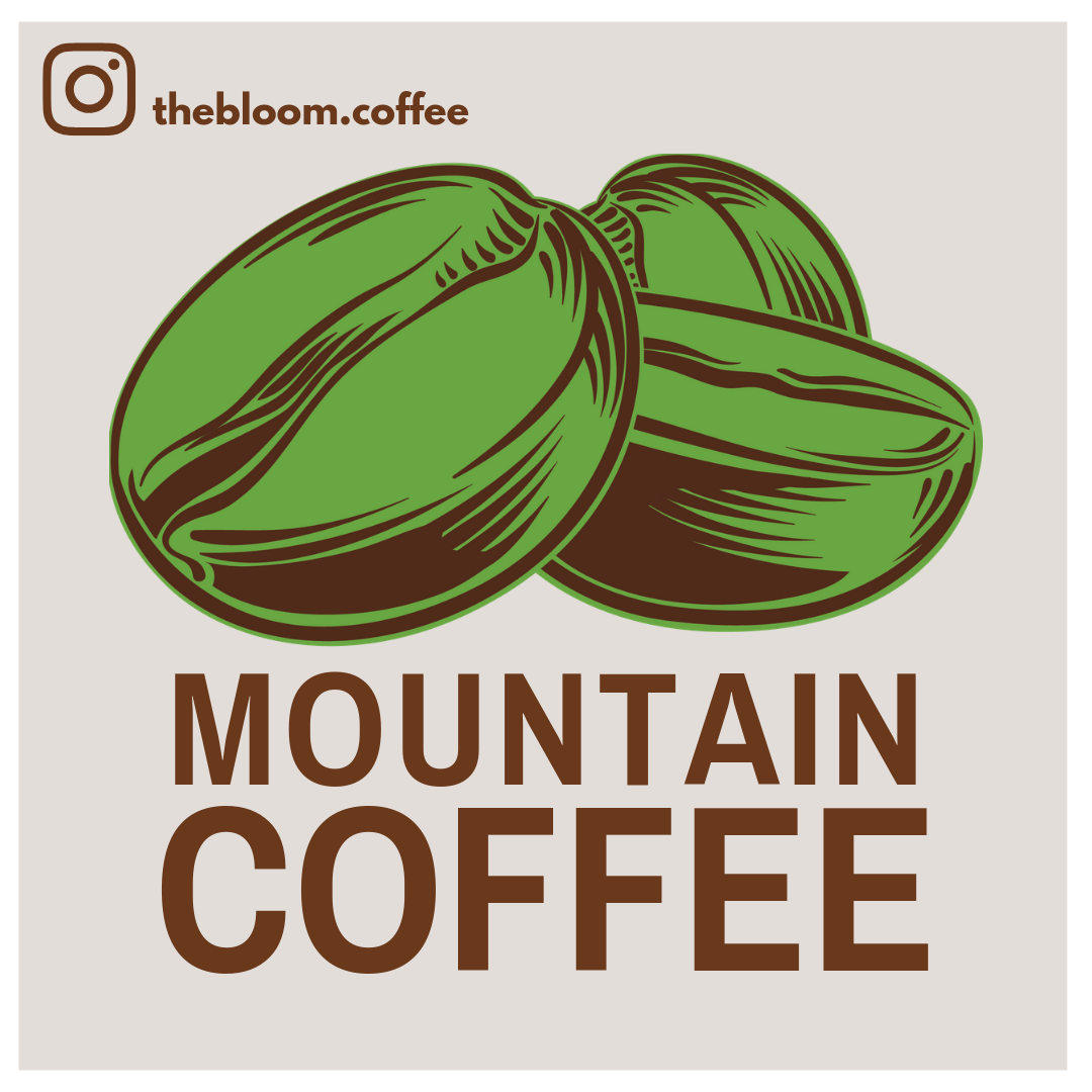 Mountain Coffee – Cupping – commonly coffee
