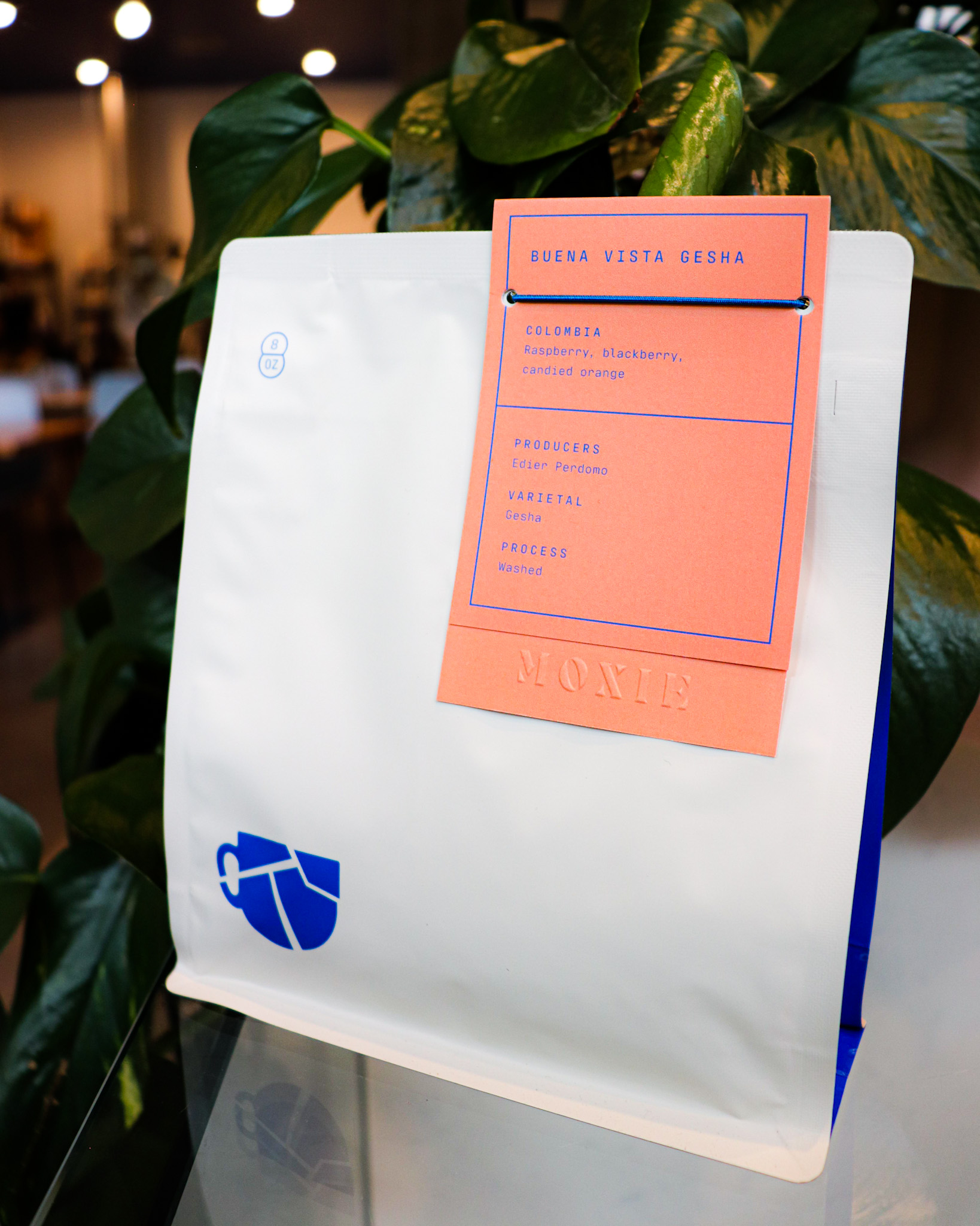 Coffee Roaster of the Month – Moxie Coffee Co. – commonly coffee